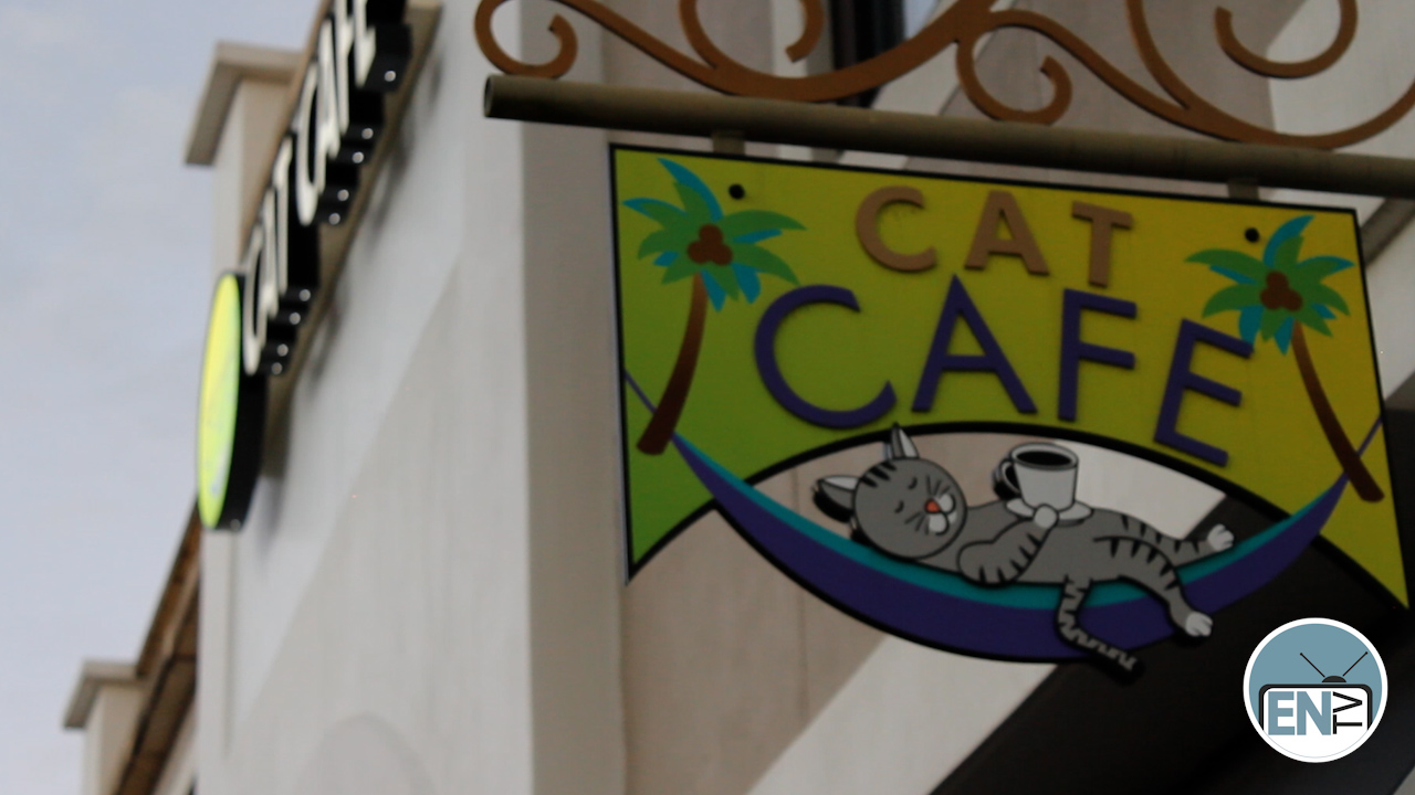 ENTV Goes to the Cattyshack – Eagle Media